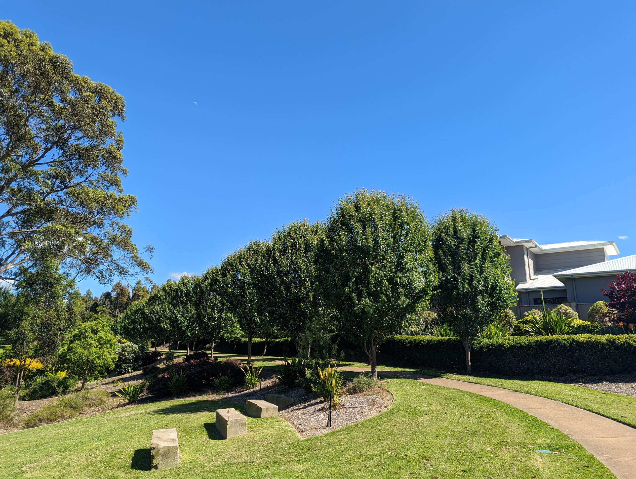 Urban Forest Ideas Wall | Urban Forest | Your Voice Camden