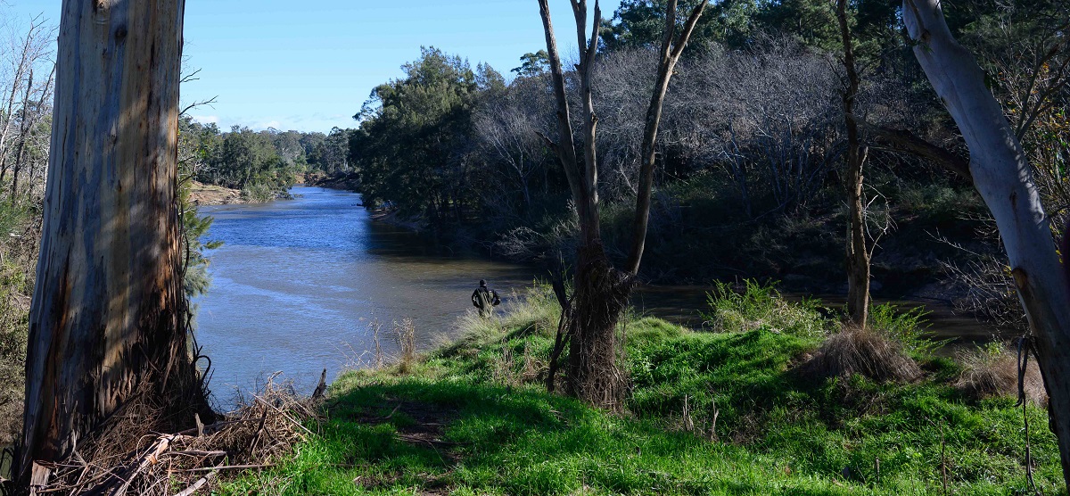 Nepean River Corridor Study | Your Voice Camden